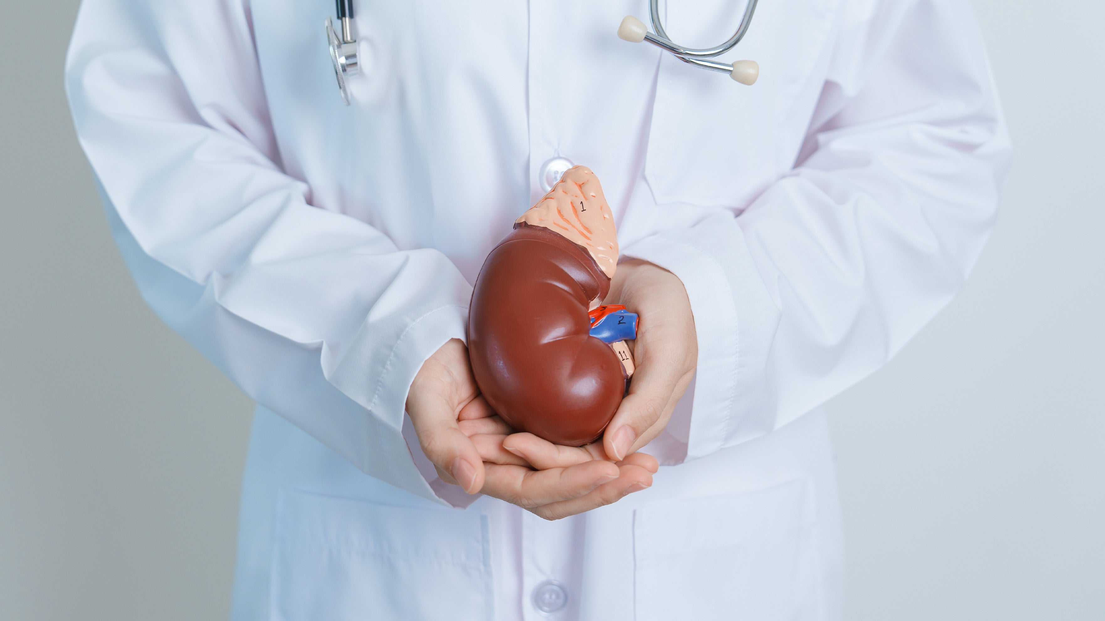 How to Fix Adrenal Fatigue: 11 Things to Try – Tennant Products