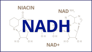 Unlocking the Power of NAD:Your Guide to Understanding NAD+ and NADH a ...